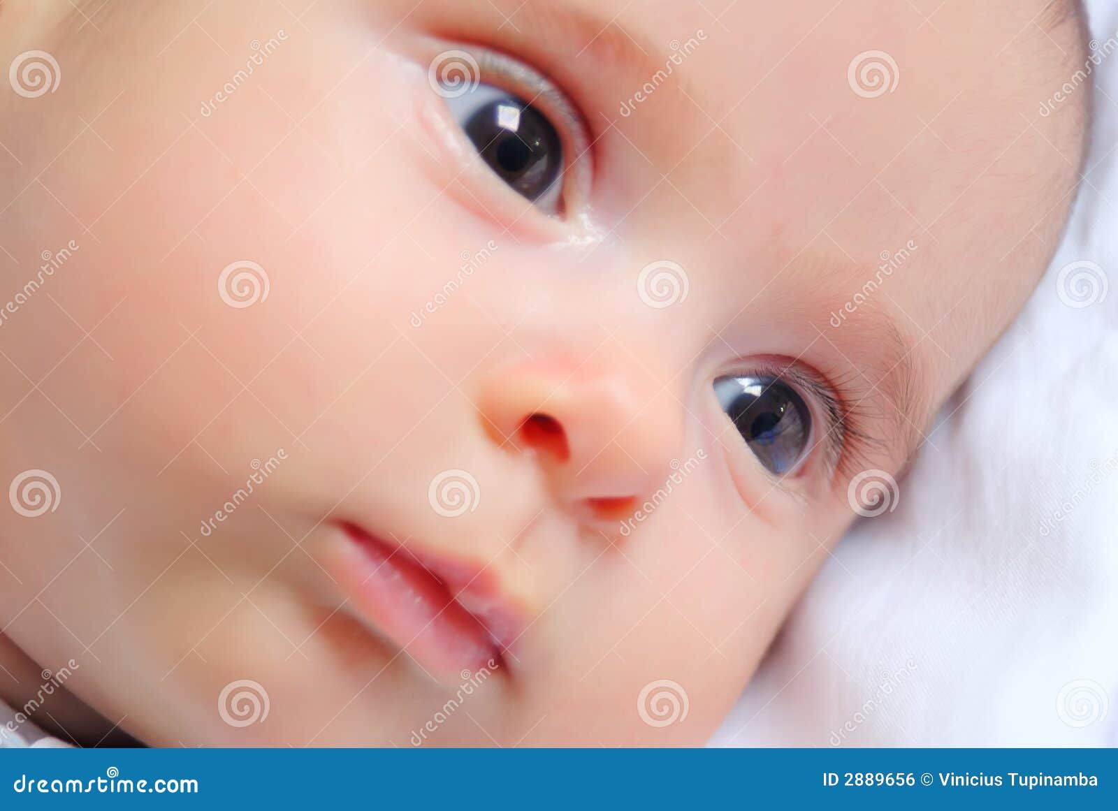 Baby Face stock photo. Image of innocence, face, nose - 2889656