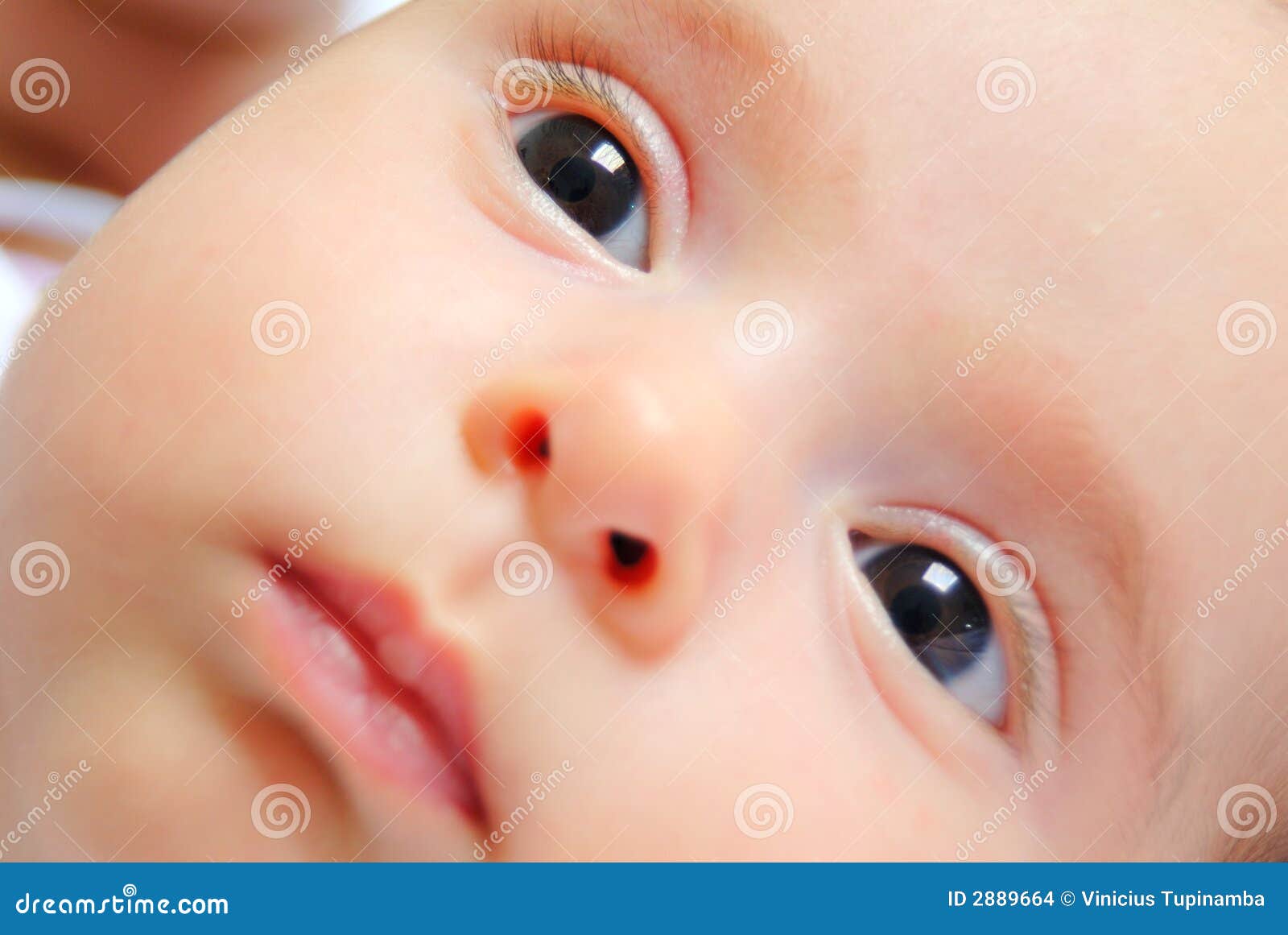 Baby Face stock photo. Image of nose, child, innocence - 2889664
