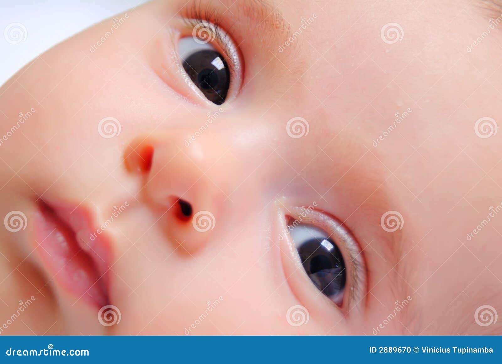 Baby Face stock photo. Image of portrait, daughter, born - 2889670
