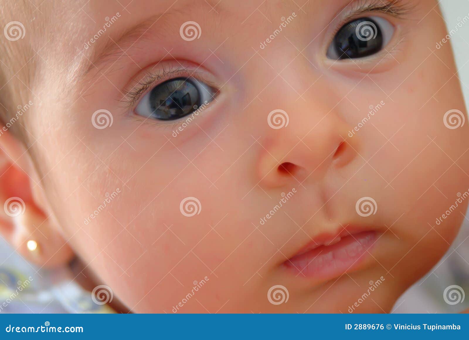 Baby Face stock photo. Image of glance, nose, innocence - 2889676