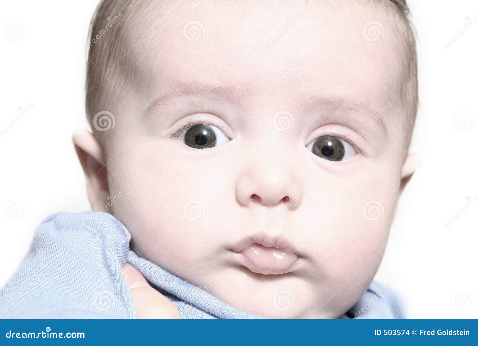 Baby face stock photo. Image of sweet, baby, attention - 503574