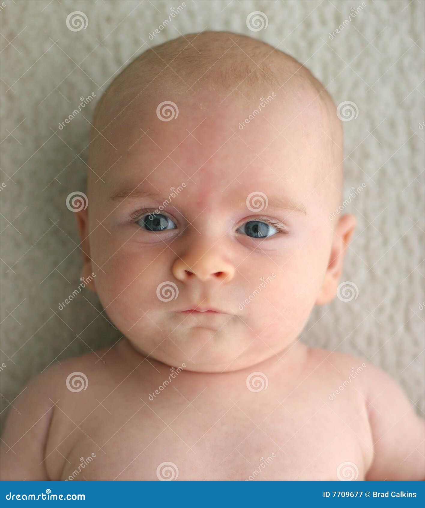 Baby face stock image. Image of infant, health, serene - 7709677
