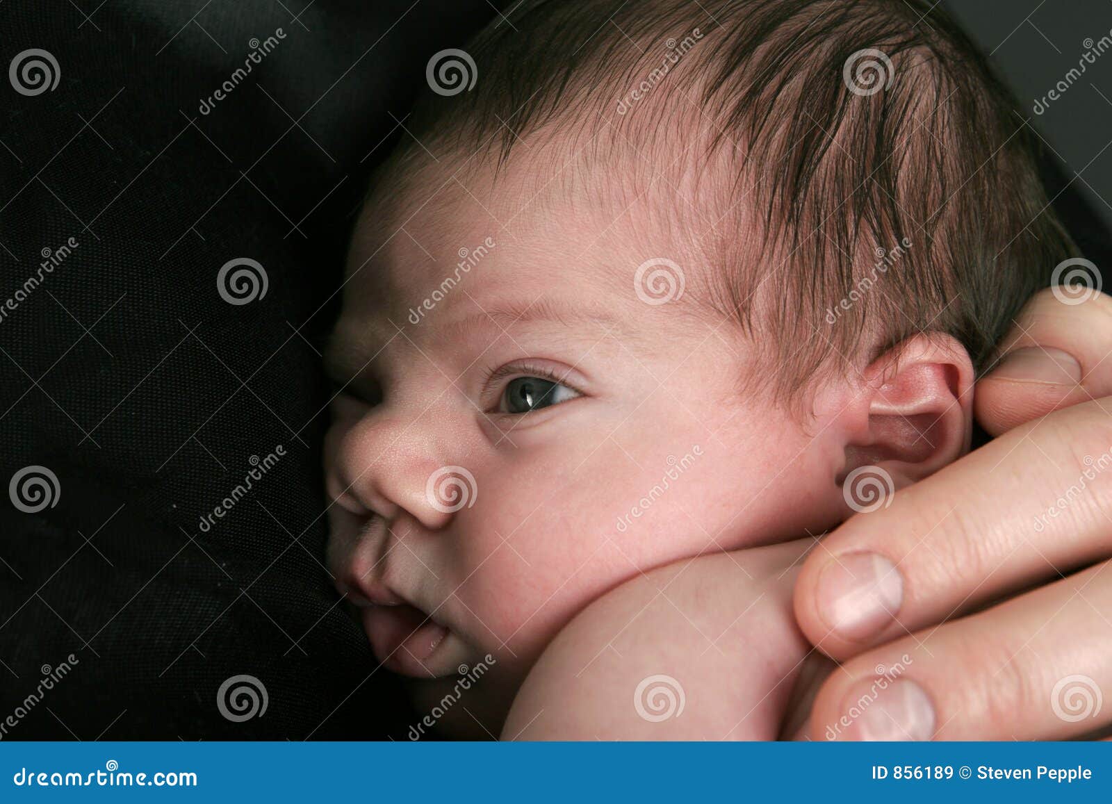 Baby face stock image. Image of infant, newborn, infants - 856189