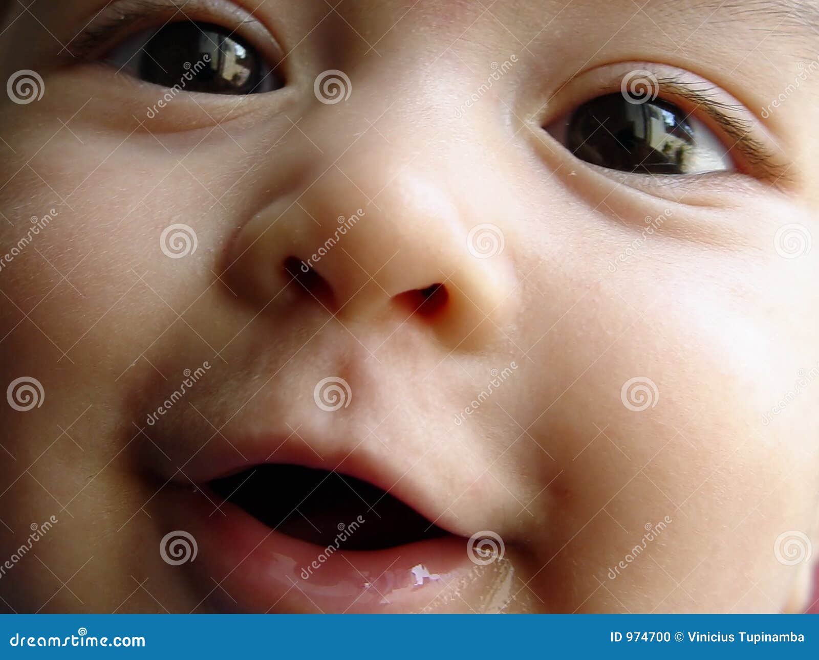 Baby Face stock photo. Image of baby, face, hair, brow - 974700