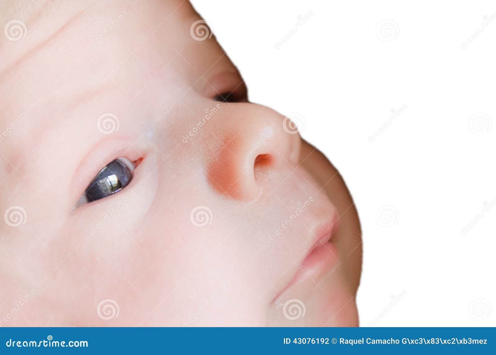 Baby Face Isolated on White Stock Photo - Image of white, people: 43076192