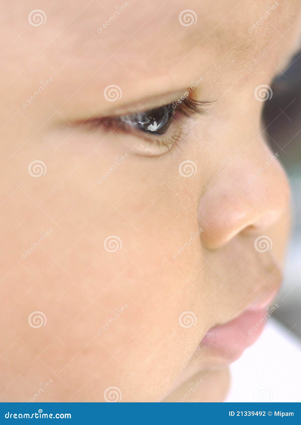 Baby face profile eye stock photo. Image of view, bambino - 21339492
