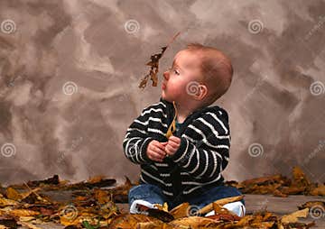Baby fall autumn stock photo. Image of baby, leaf, garden - 1542028