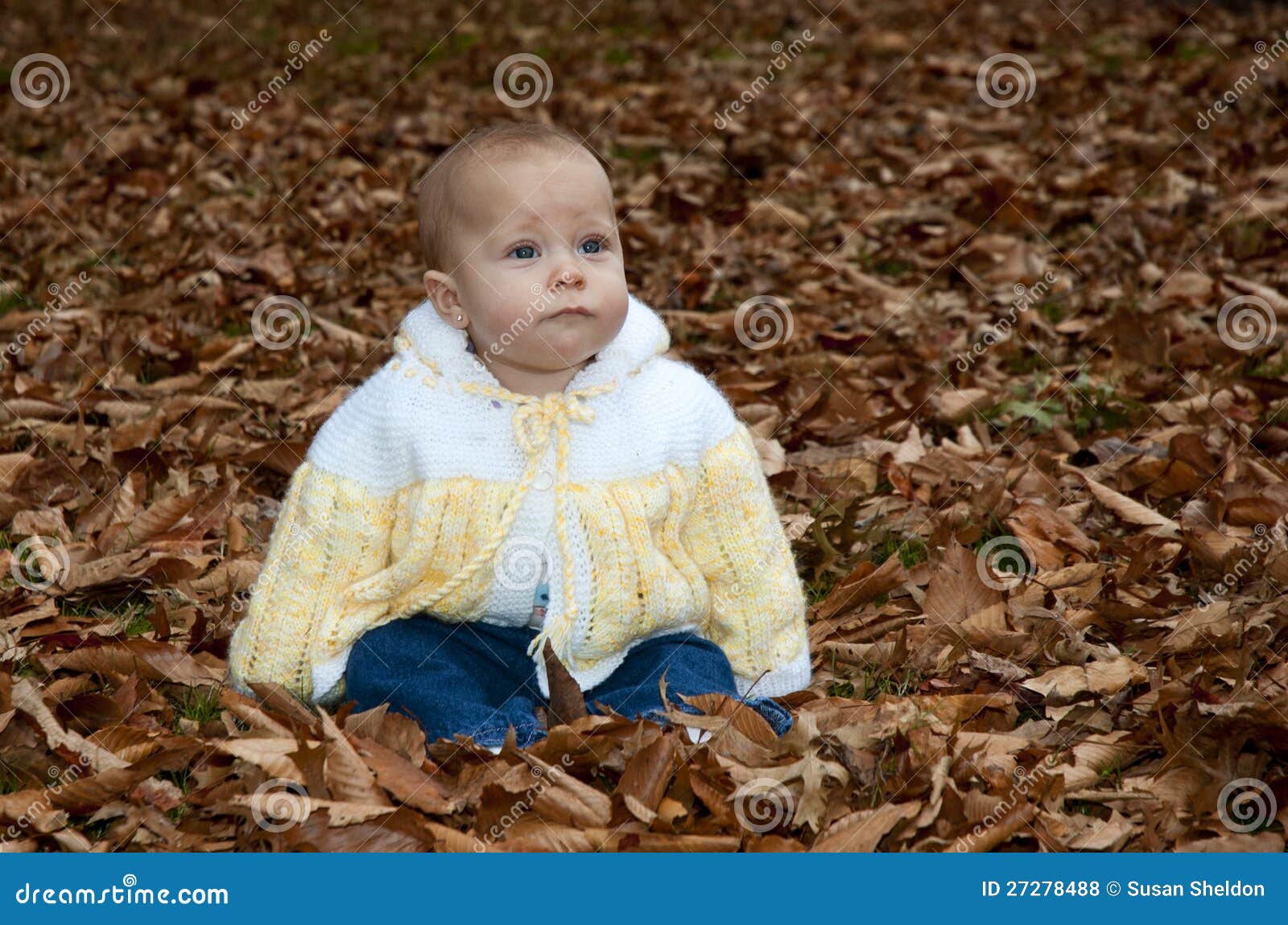 Baby in fall leaves stock photo. Image of autumn, caucasian - 27278488