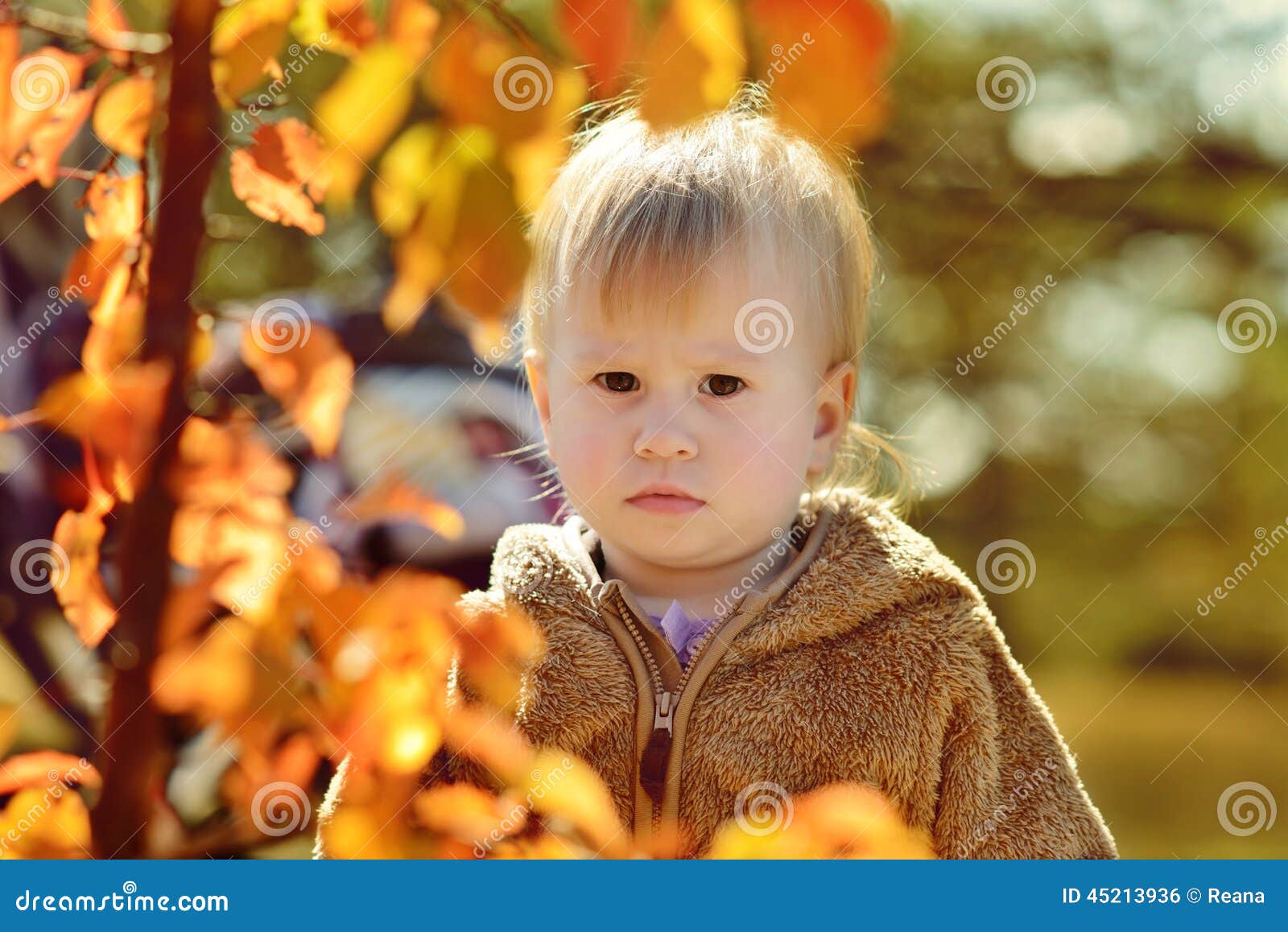 Baby in fall stock photo. Image of looking, park, natural - 45213936
