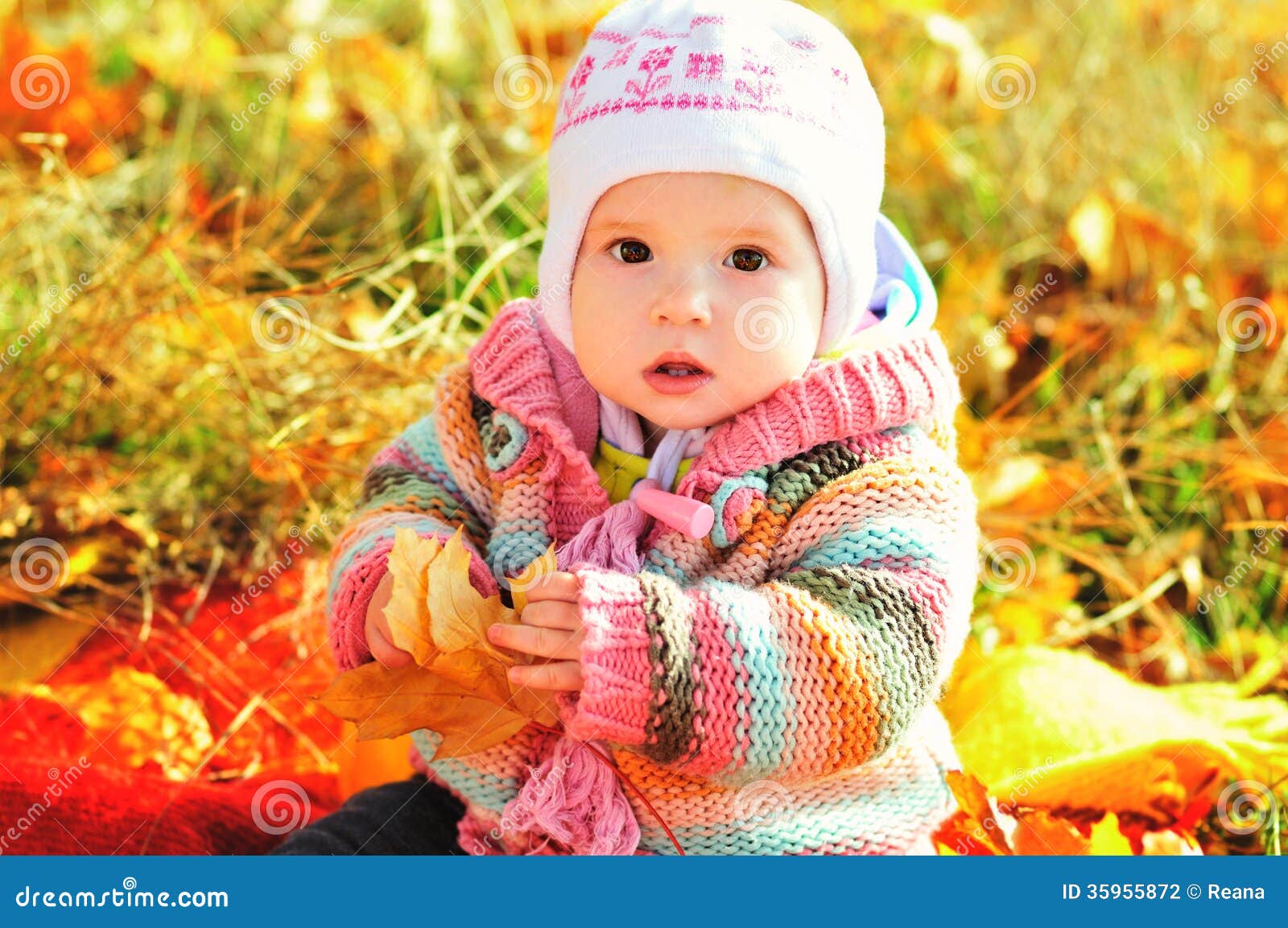Baby in fall time stock photo. Image of eyes, girl, fall - 35955872