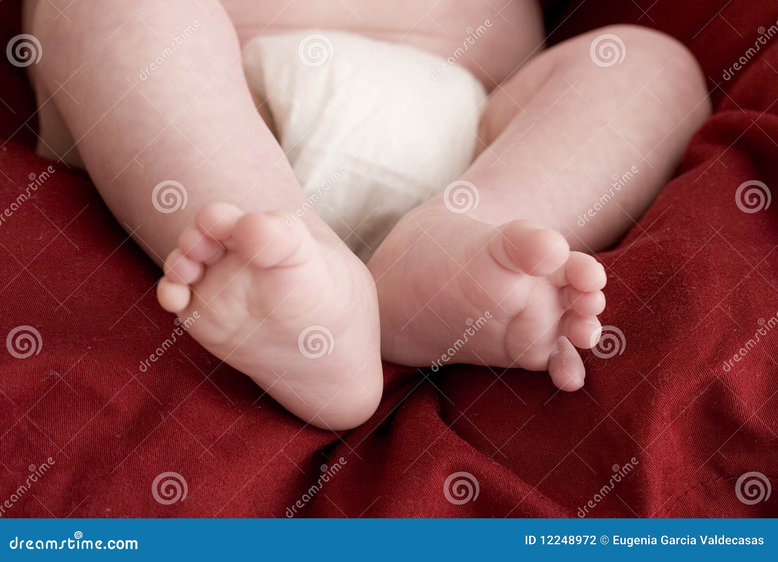 Baby feet stock photo. Image of horizontal, love, sweet - 12248972