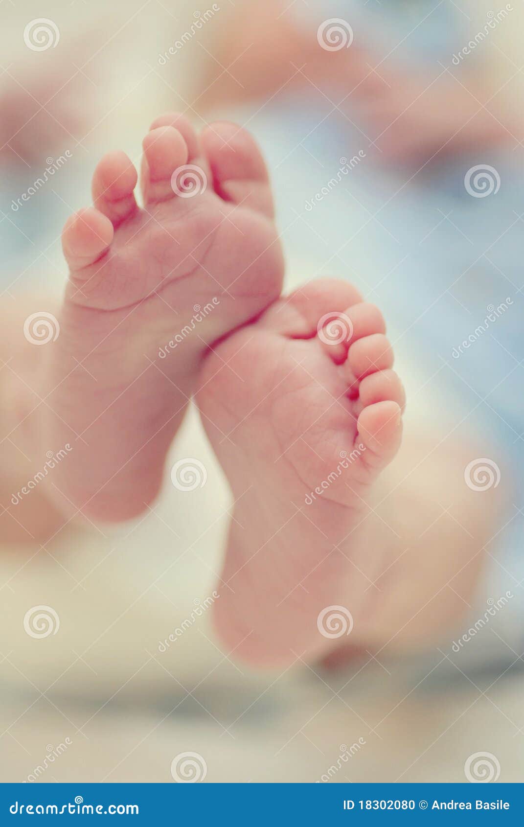 Baby feet stock photo. Image of macro, black, feet, love - 18302080