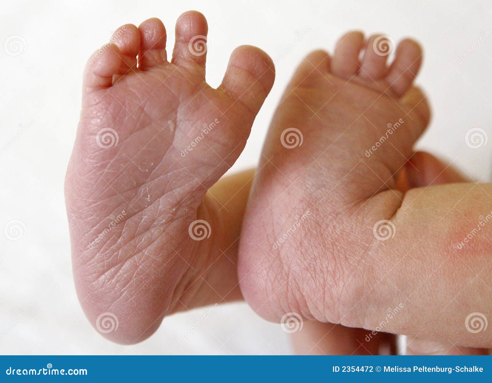 Baby feet stock photo. Image of babies, children, toes - 2354472