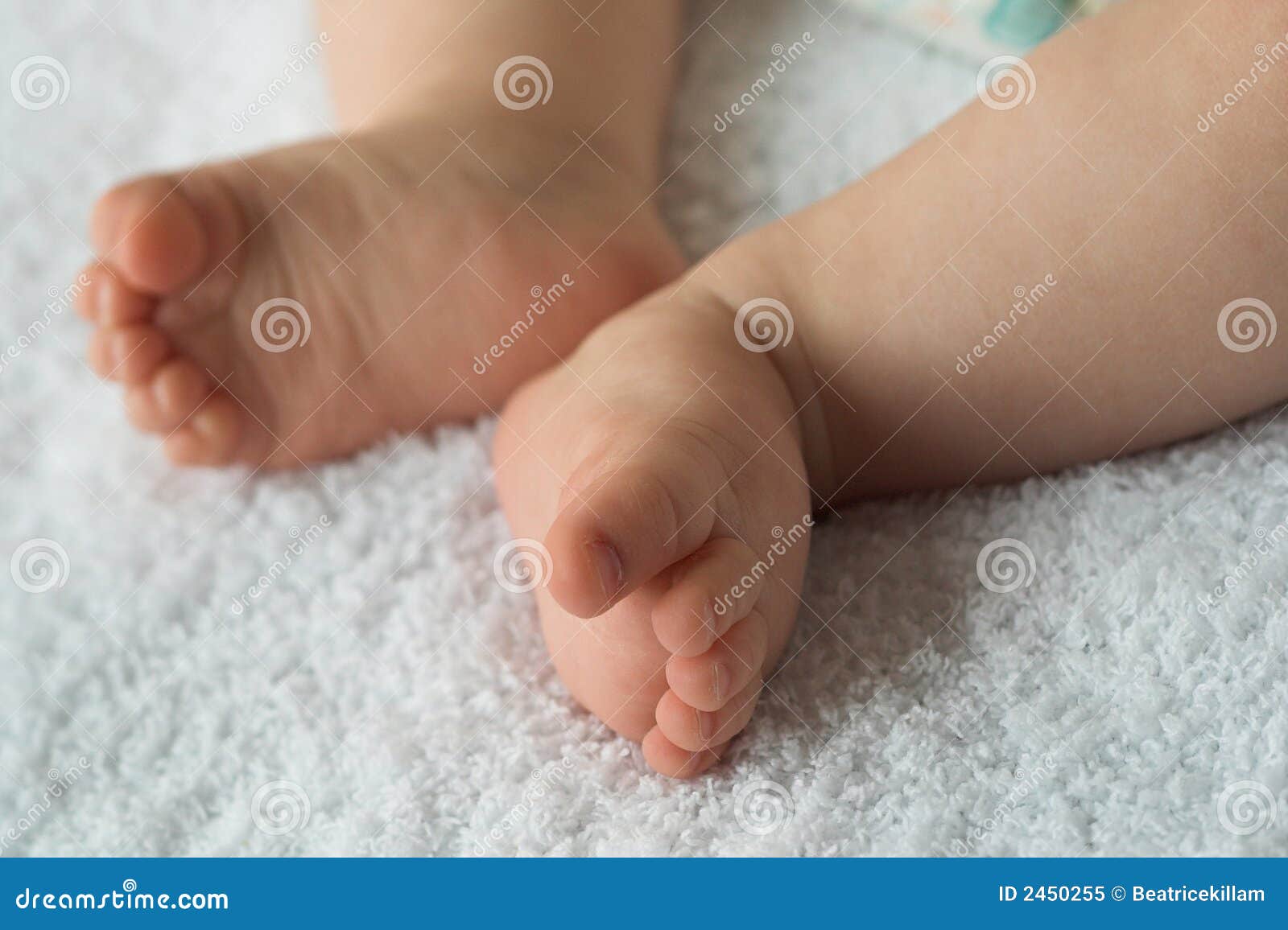 Baby Feet stock image. Image of skin, white, sitting, tiny - 2450255