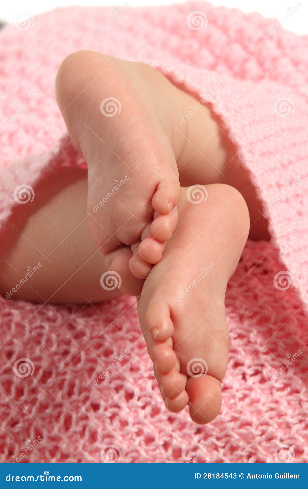 Baby feet stock image. Image of baby, life, comfort, foot - 28184543