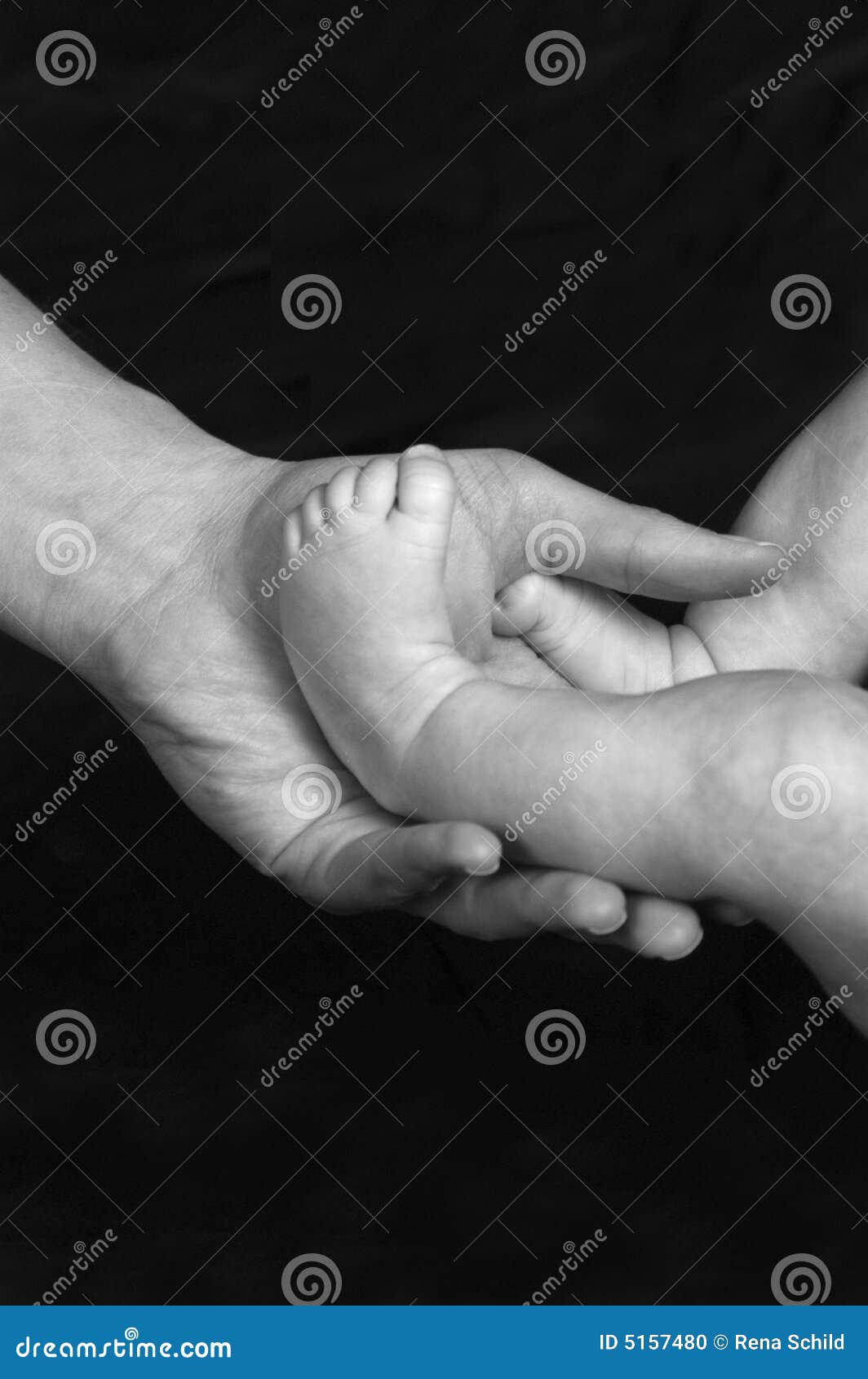 Baby Feet Picture. Image: 5157480