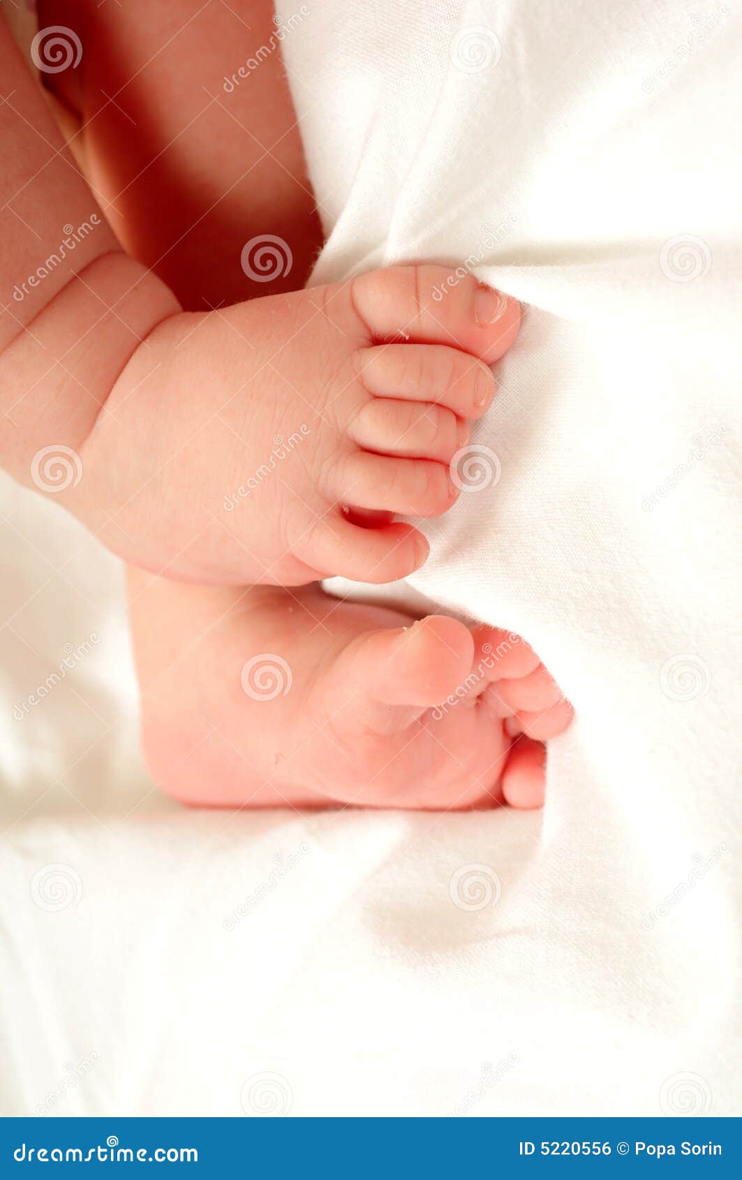 Baby feet stock photo. Image of lovely, body, fingers - 5220556