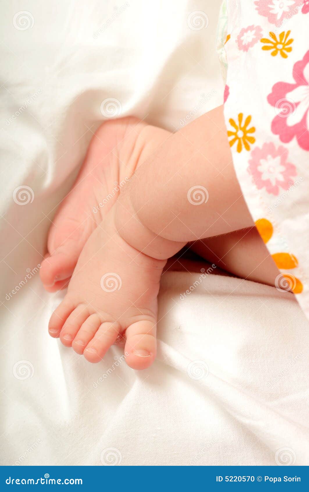 Baby feet stock photo. Image of cute, born, newborn, baby - 5220570