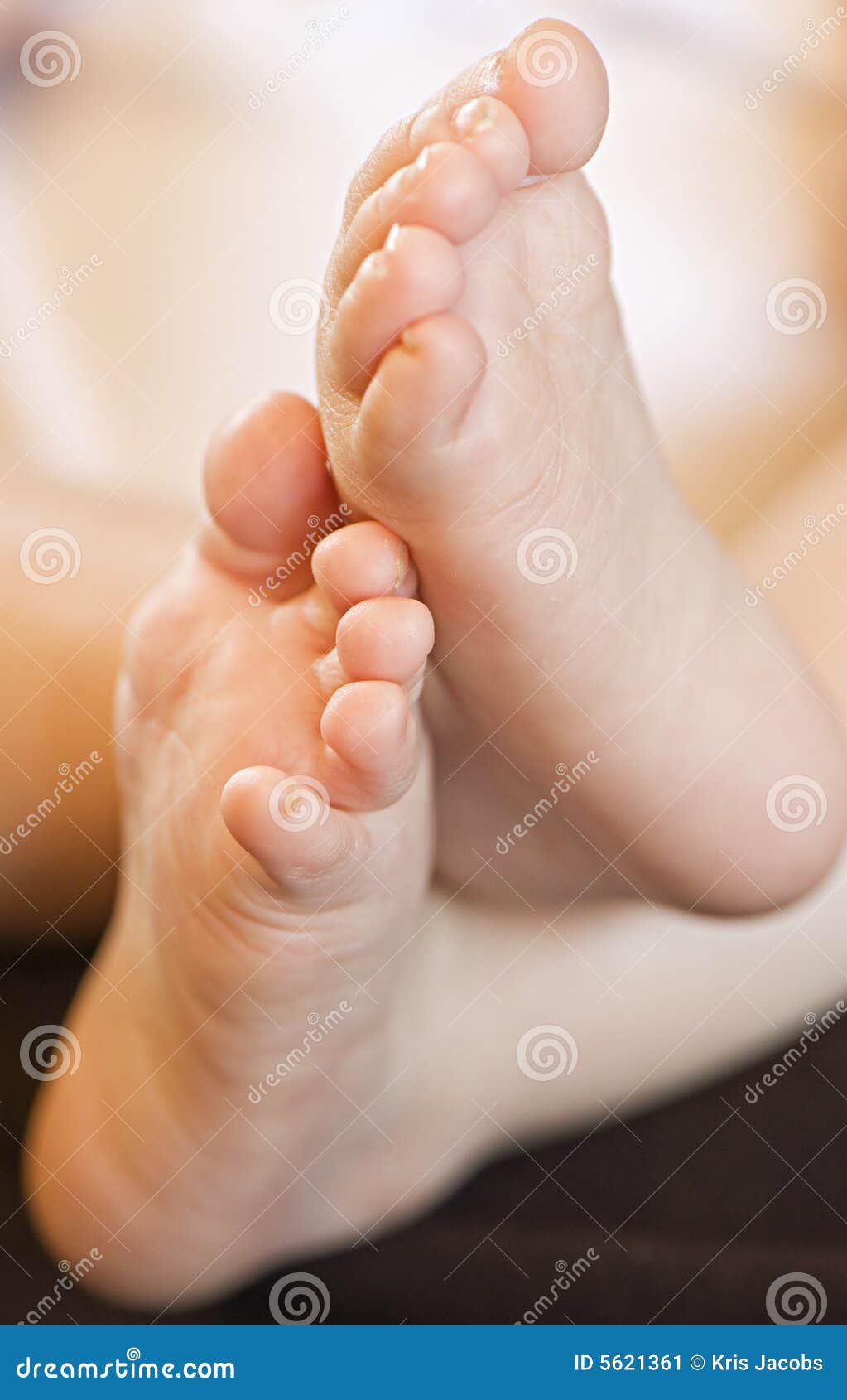 Baby feet stock image. Image of feet, pink, baby, young - 5621361
