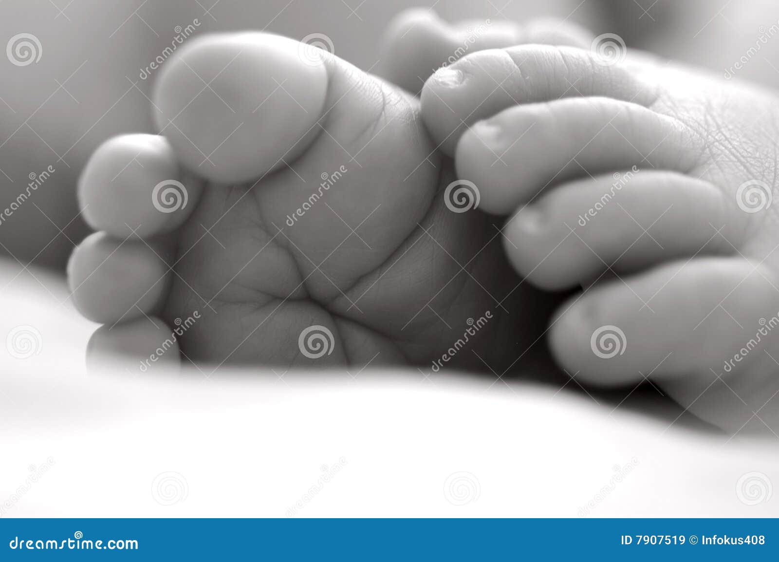 Baby feet stock image. Image of macro, toes, children - 7907519