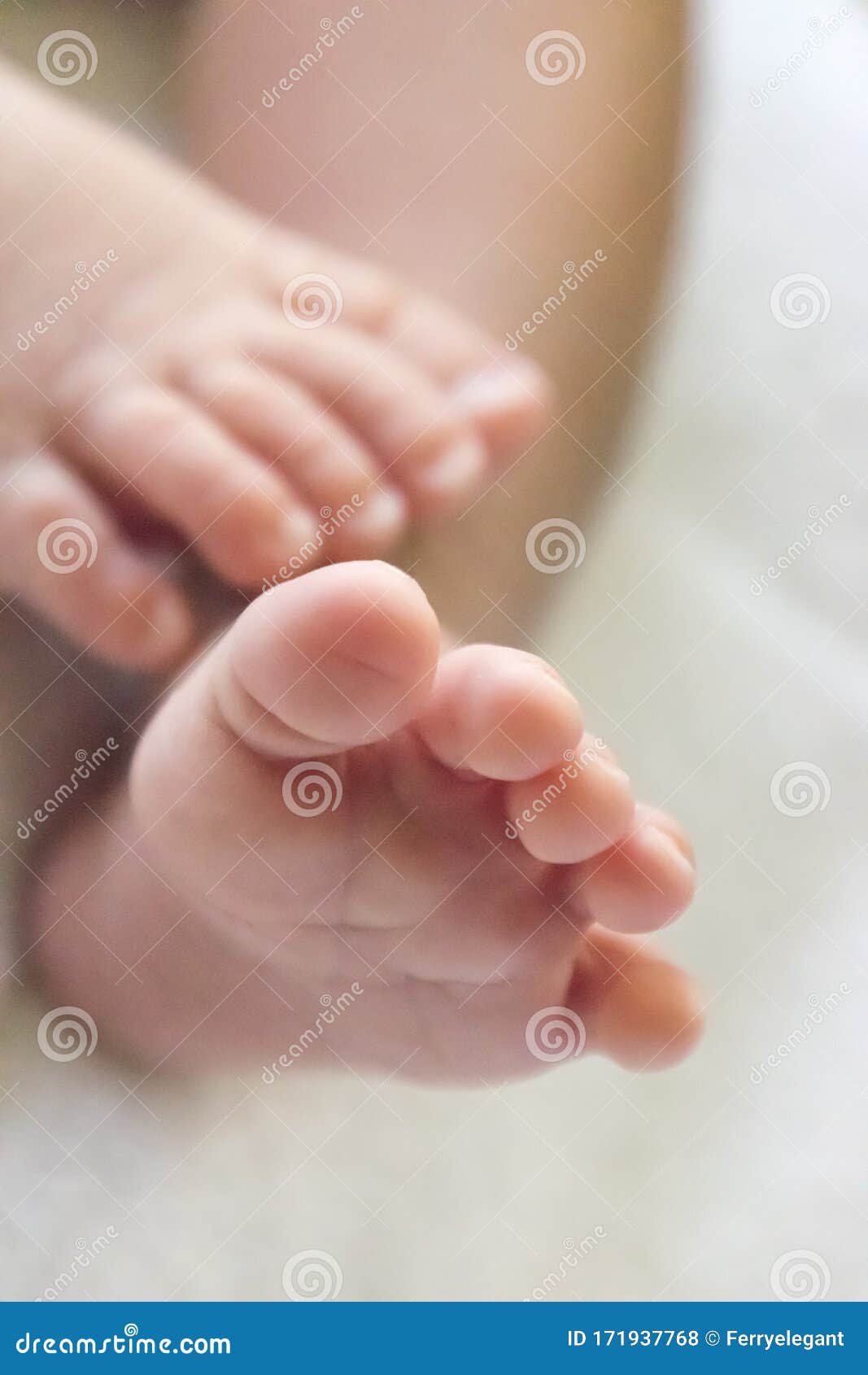 Baby feet close up stock photo. Image of hand, feet - 171937768