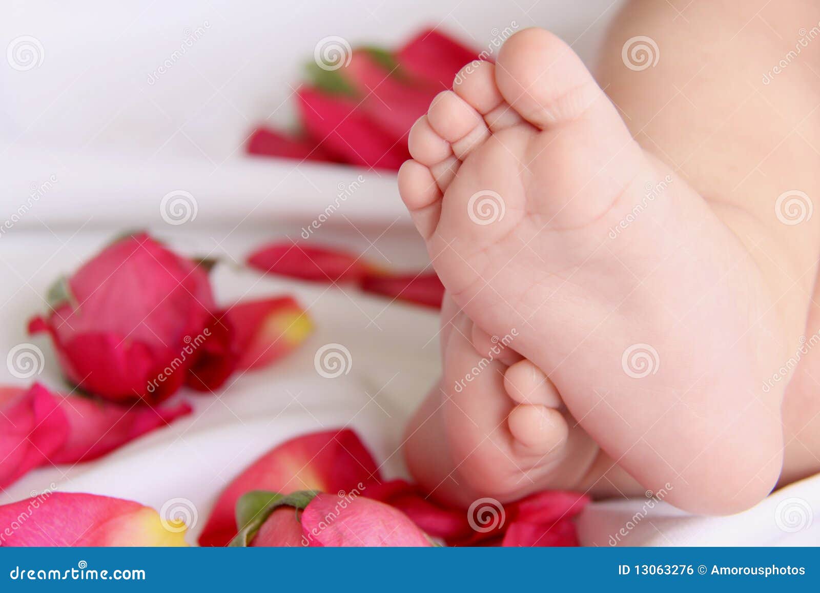 Baby feet and roses 2 stock photo. Image of print, portrait - 13063276