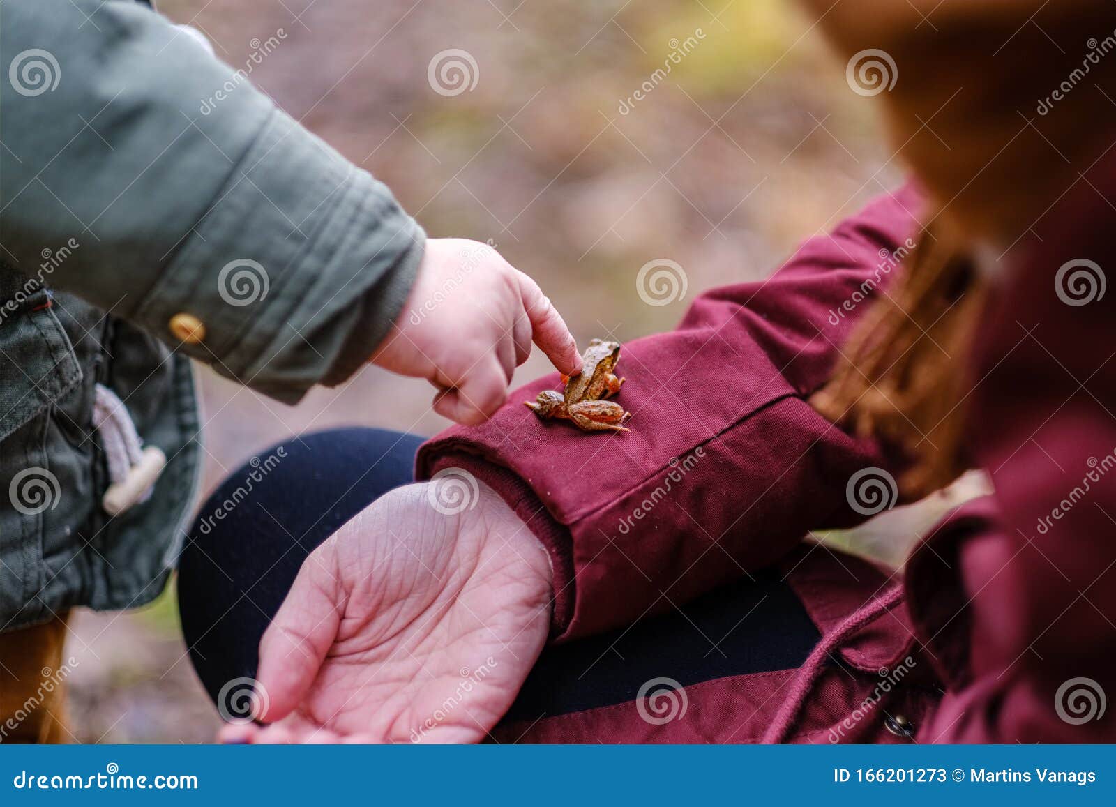 Baby Finger Pointing at Frog Stock Image - Image of finger, love: 166201273