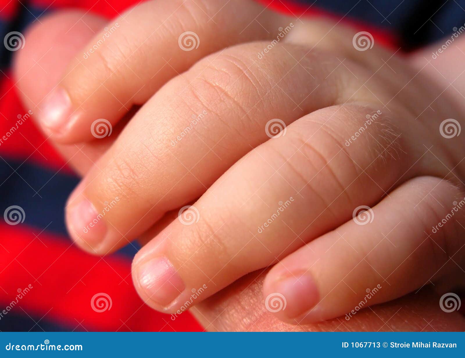 Baby fingers stock image. Image of childhood, isolated - 1067713