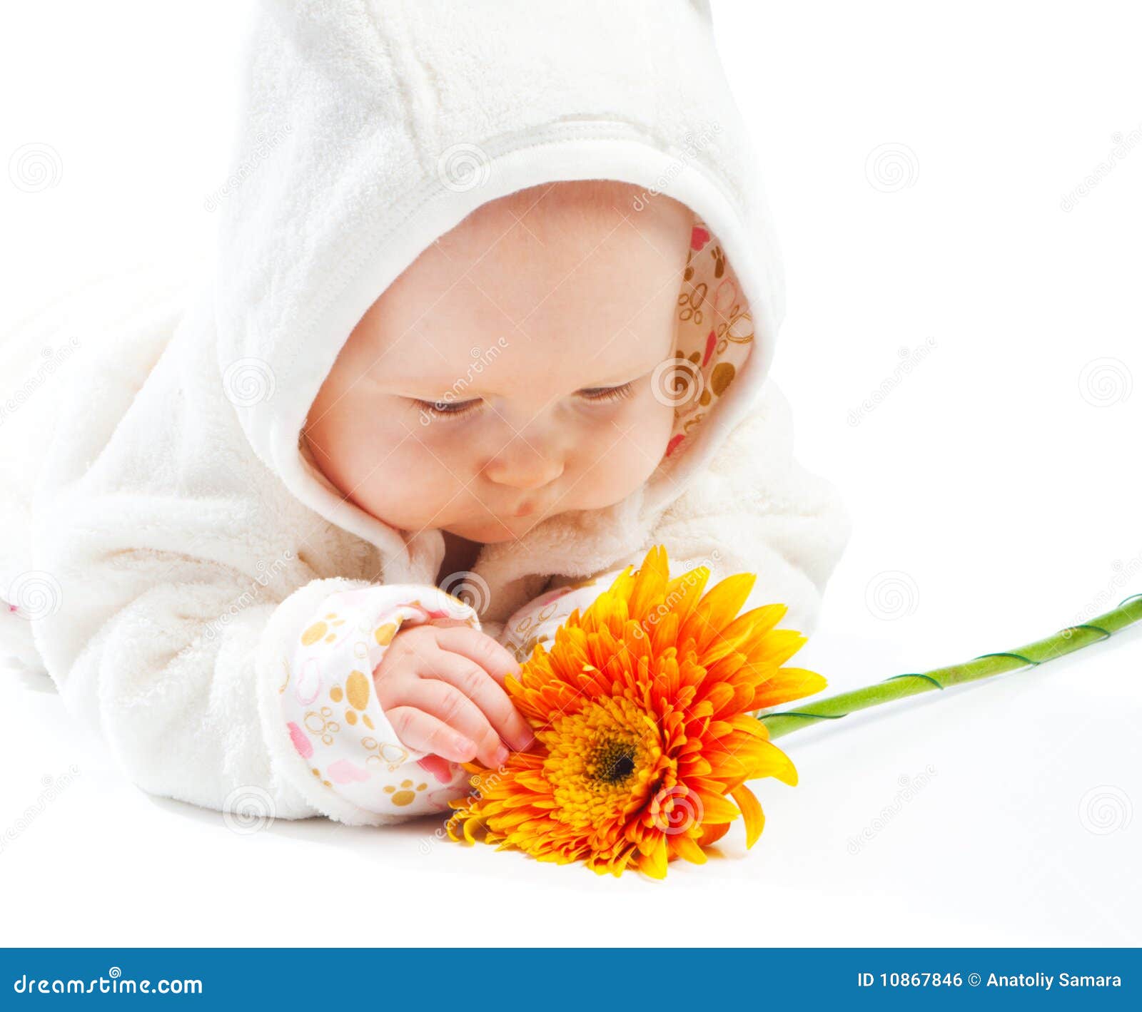 Baby with flower stock photo. Image of curiosity, little - 10867846