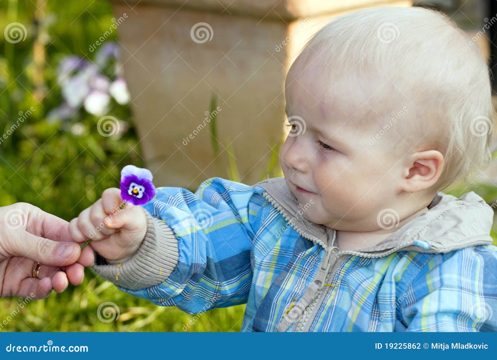 Baby with flower stock photo. Image of cute, give, horizontal - 19225862