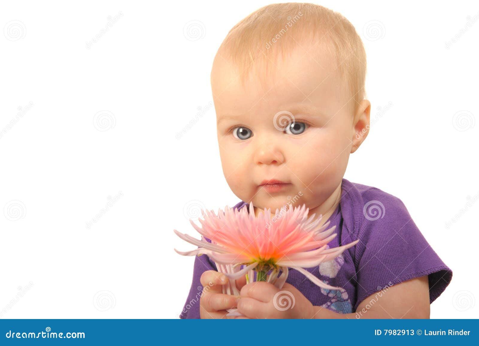 Baby with Flower stock image. Image of posing, love, innocent - 7982913