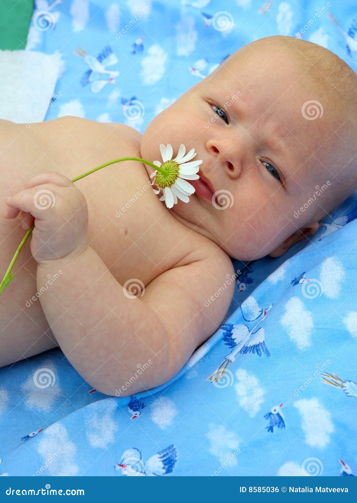 Baby with flower stock photo. Image of nature, face, little - 8585036