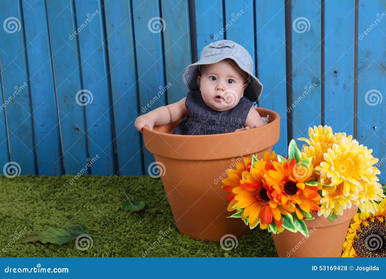 Baby in flowerpot stock photo. Image of adorable, flower - 53169428