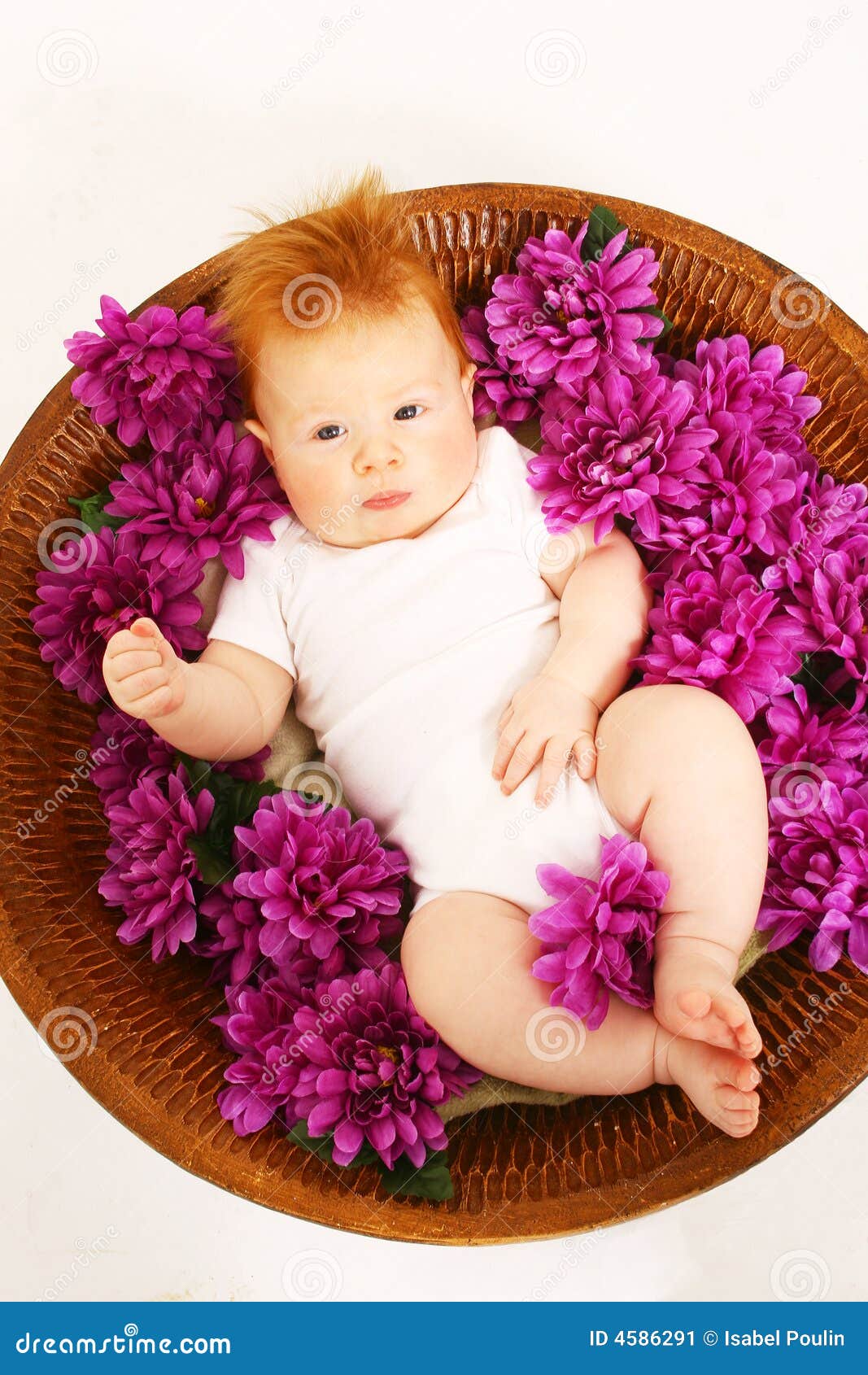 Baby in flowers stock image. Image of life, months, childhood - 4586291