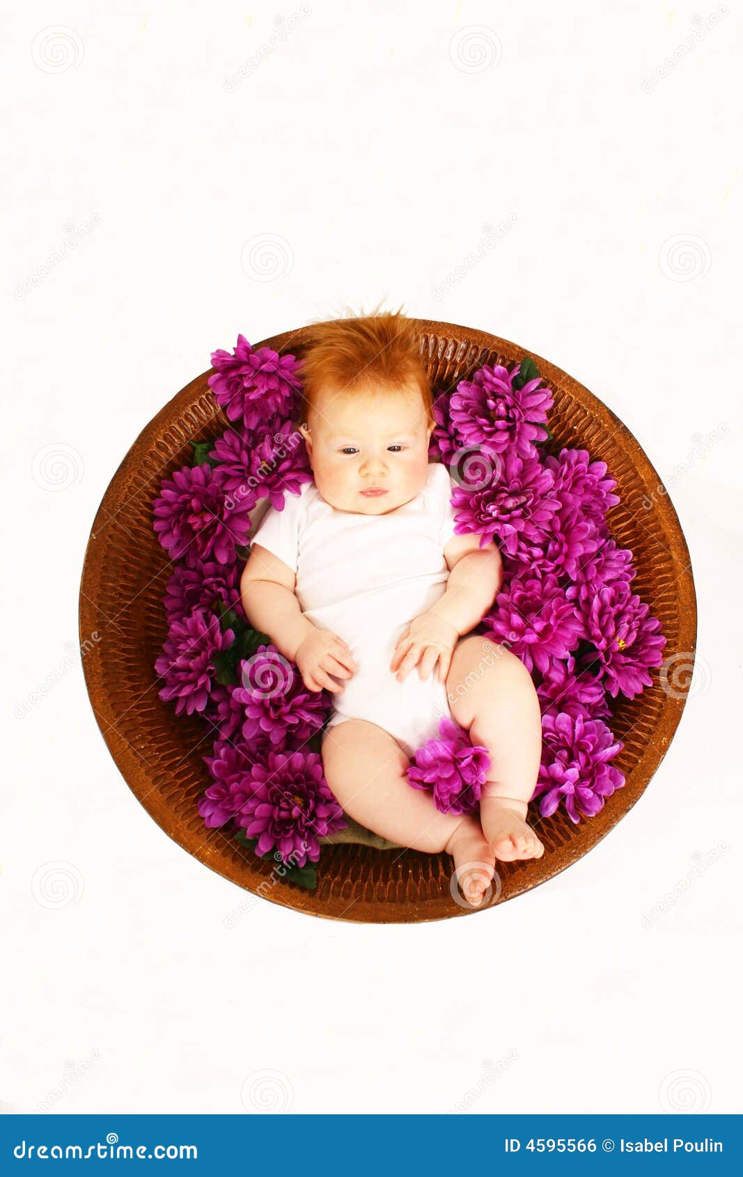 Baby in flowers stock photo. Image of daughter, lovely - 4595566