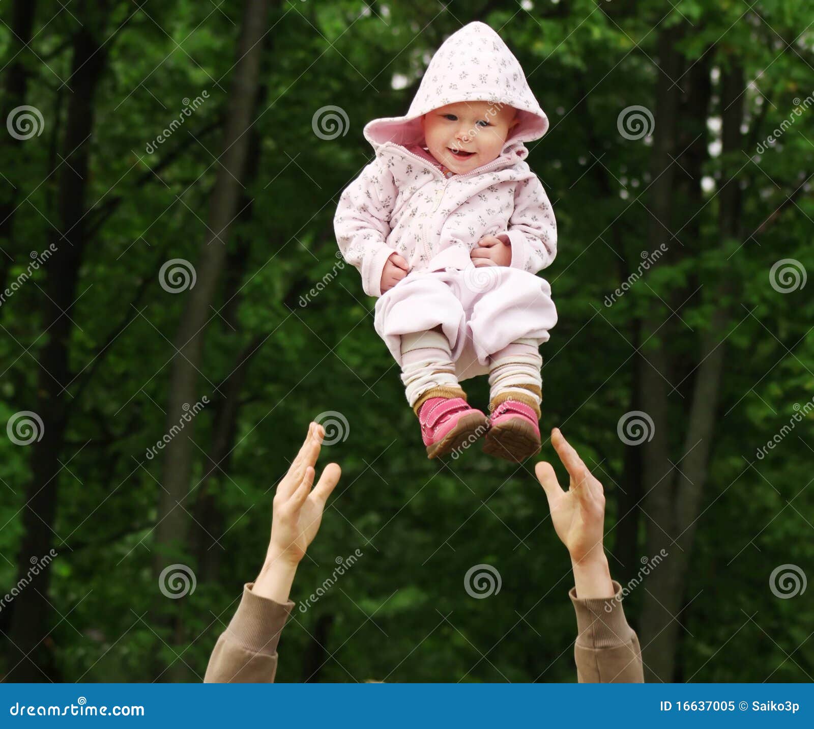 Baby fly stock image. Image of picking, activity, laughing - 16637005