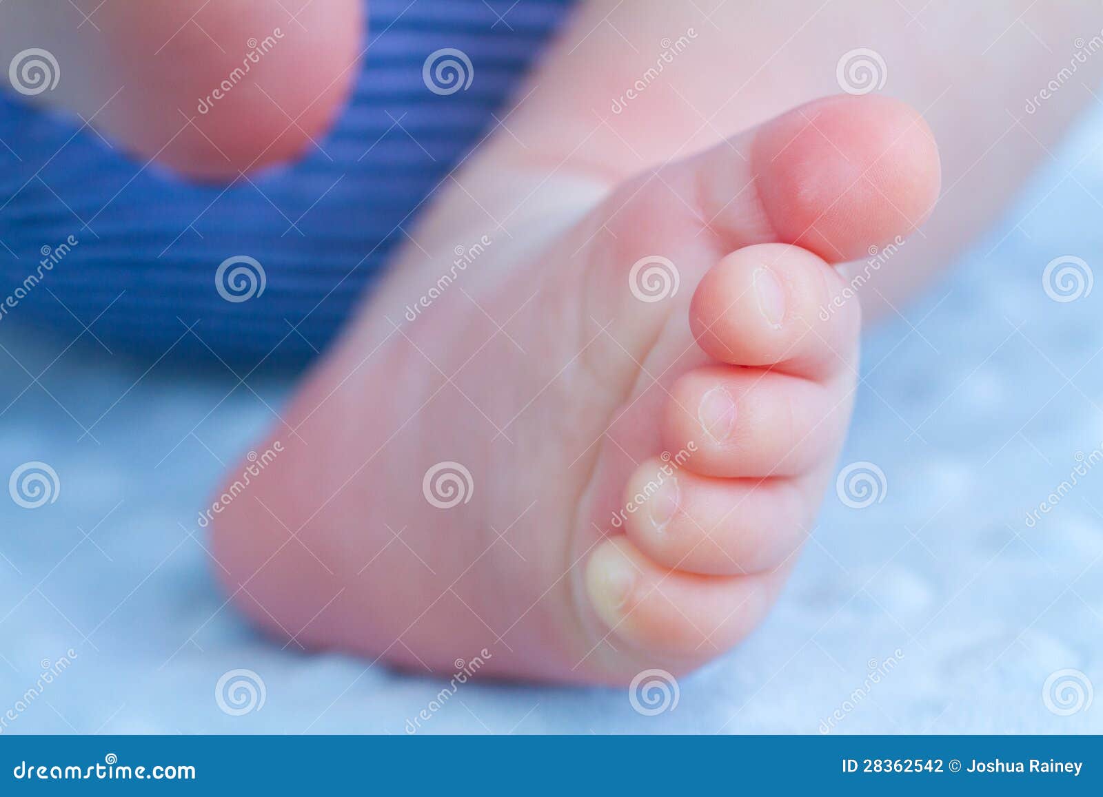 Baby Foot stock photo. Image of small, infant, foot, child - 28362542