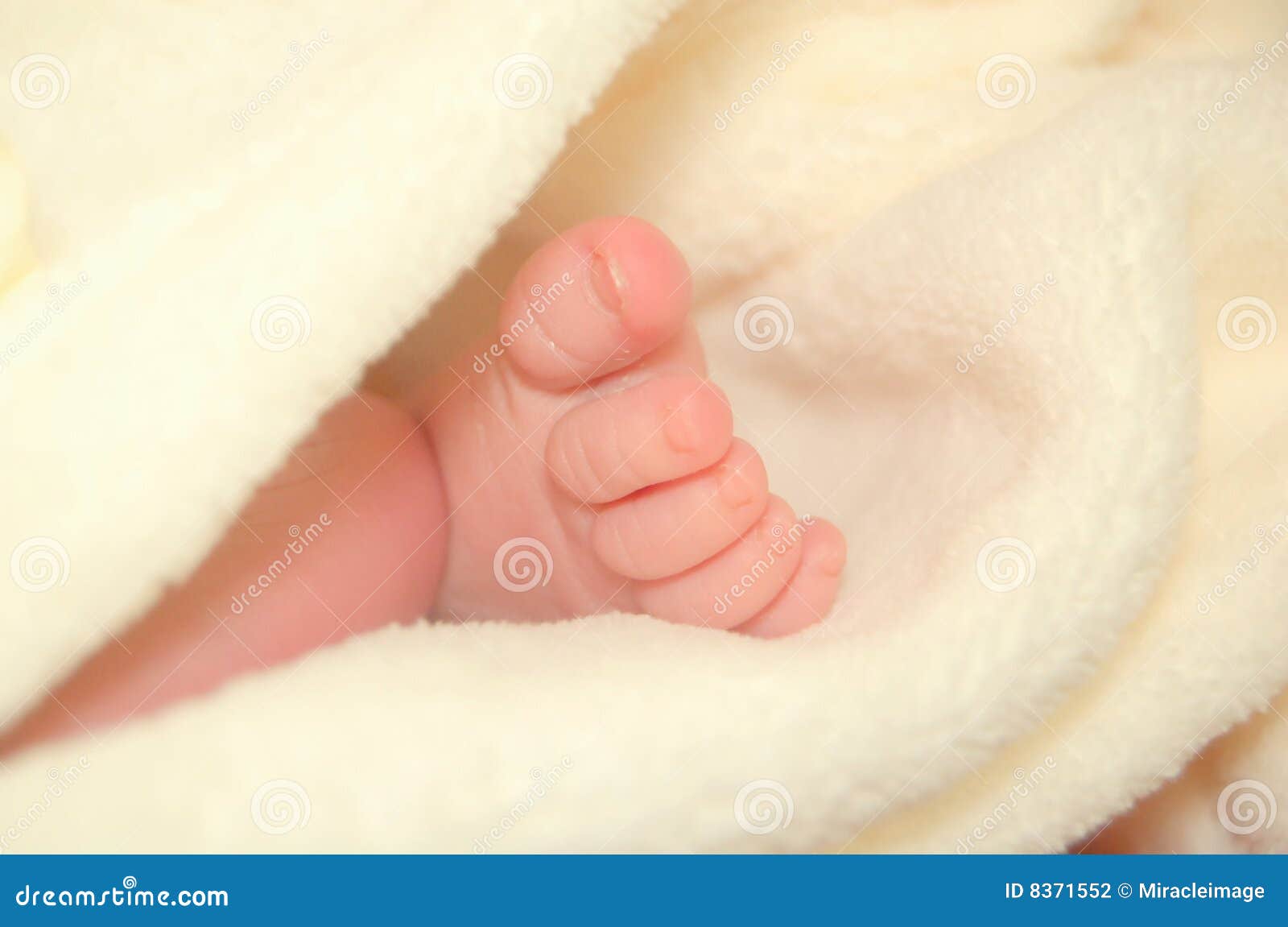 Baby Foot stock photo. Image of toes, life, cuddle, foot - 8371552