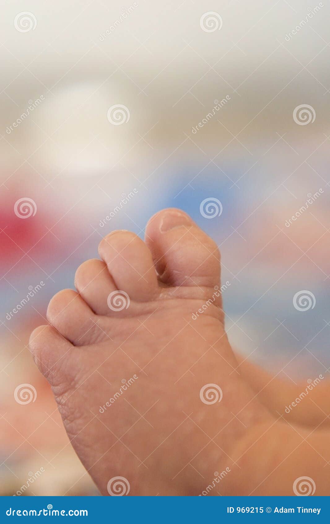 Baby Foot Picture. Image: 969215