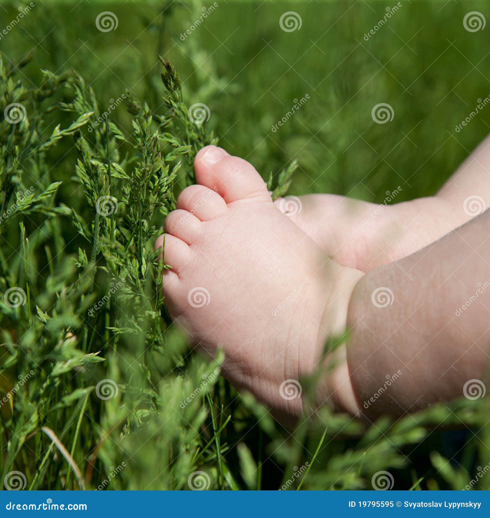 Baby foot on green grass stock image. Image of beautiful - 19795595