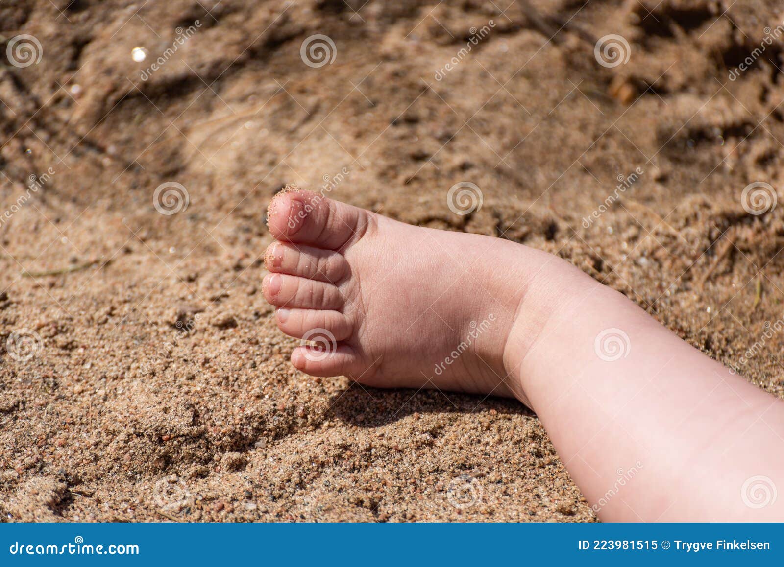 A baby foot in the sand stock image. Image of beauty - 223981515