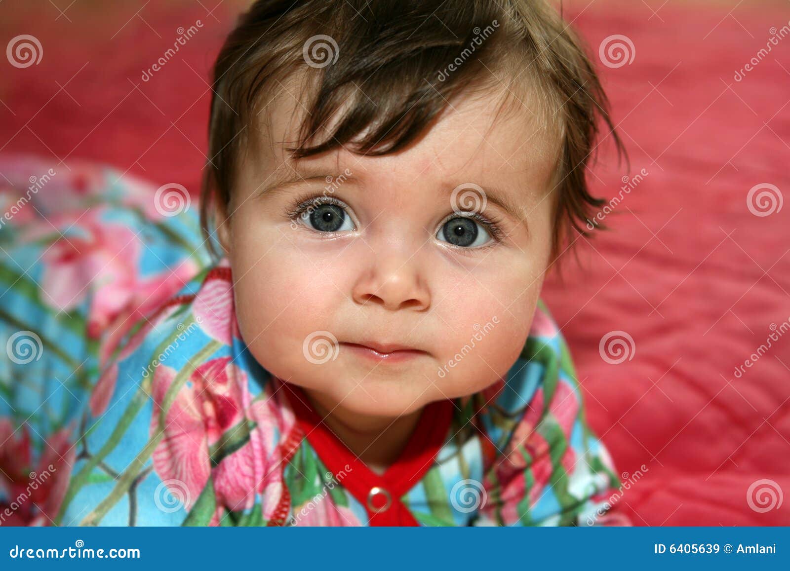Baby on front stock image. Image of eyes, beautiful, expression - 6405639
