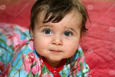 Baby on front stock image. Image of eyes, beautiful, expression - 6405639