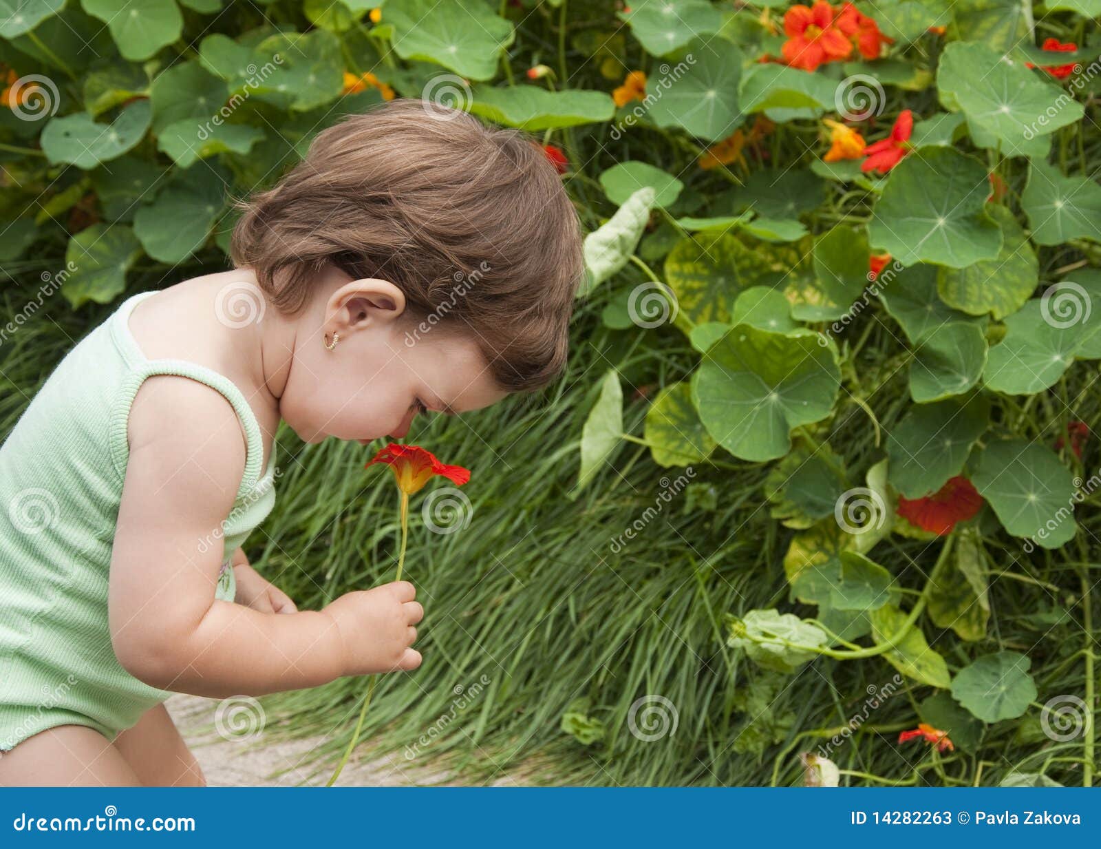 Baby in the garden stock image. Image of green, kids - 14282263