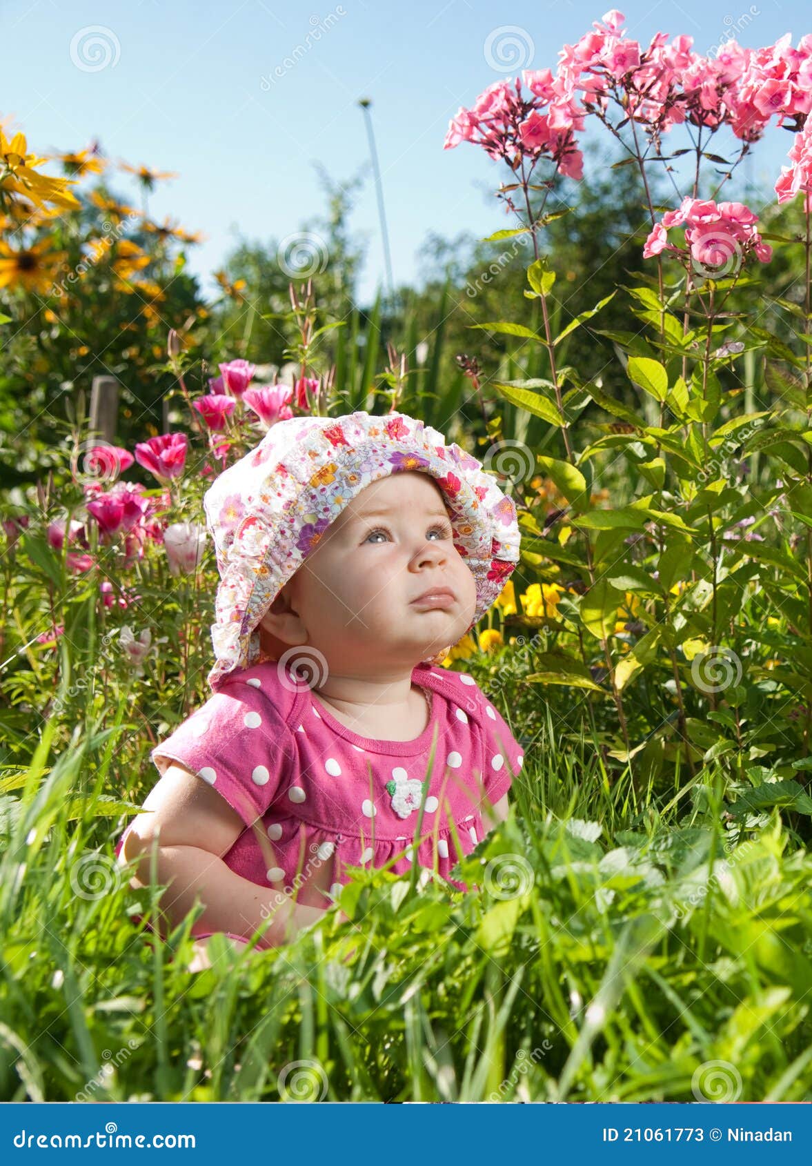 Baby at garden stock image. Image of pretty, park, caucasian - 21061773