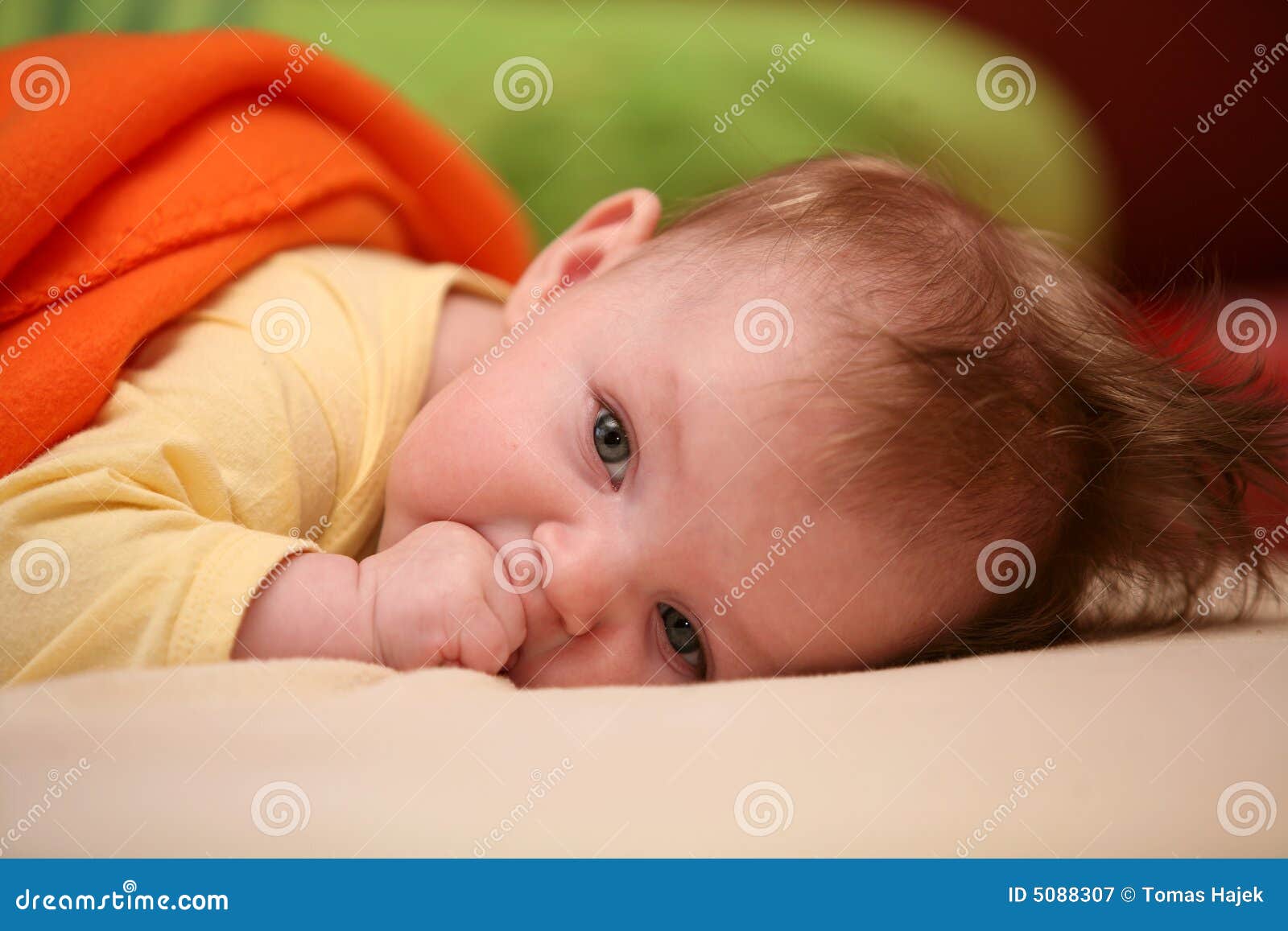 Braw Photos - Free & Royalty-Free Stock Photos from Dreamstime