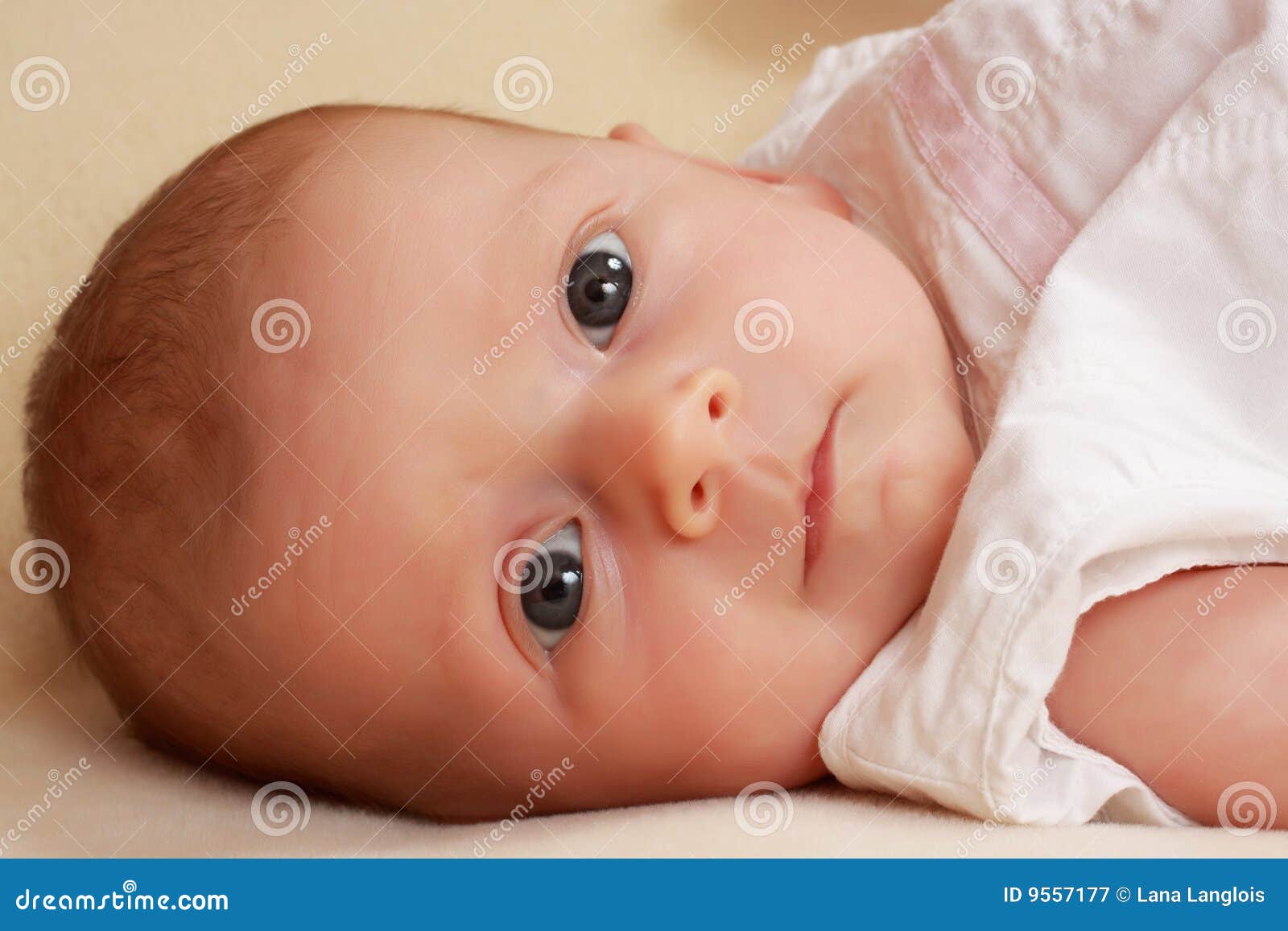 Baby girl stock image. Image of headshot, infant, isolated - 9557177