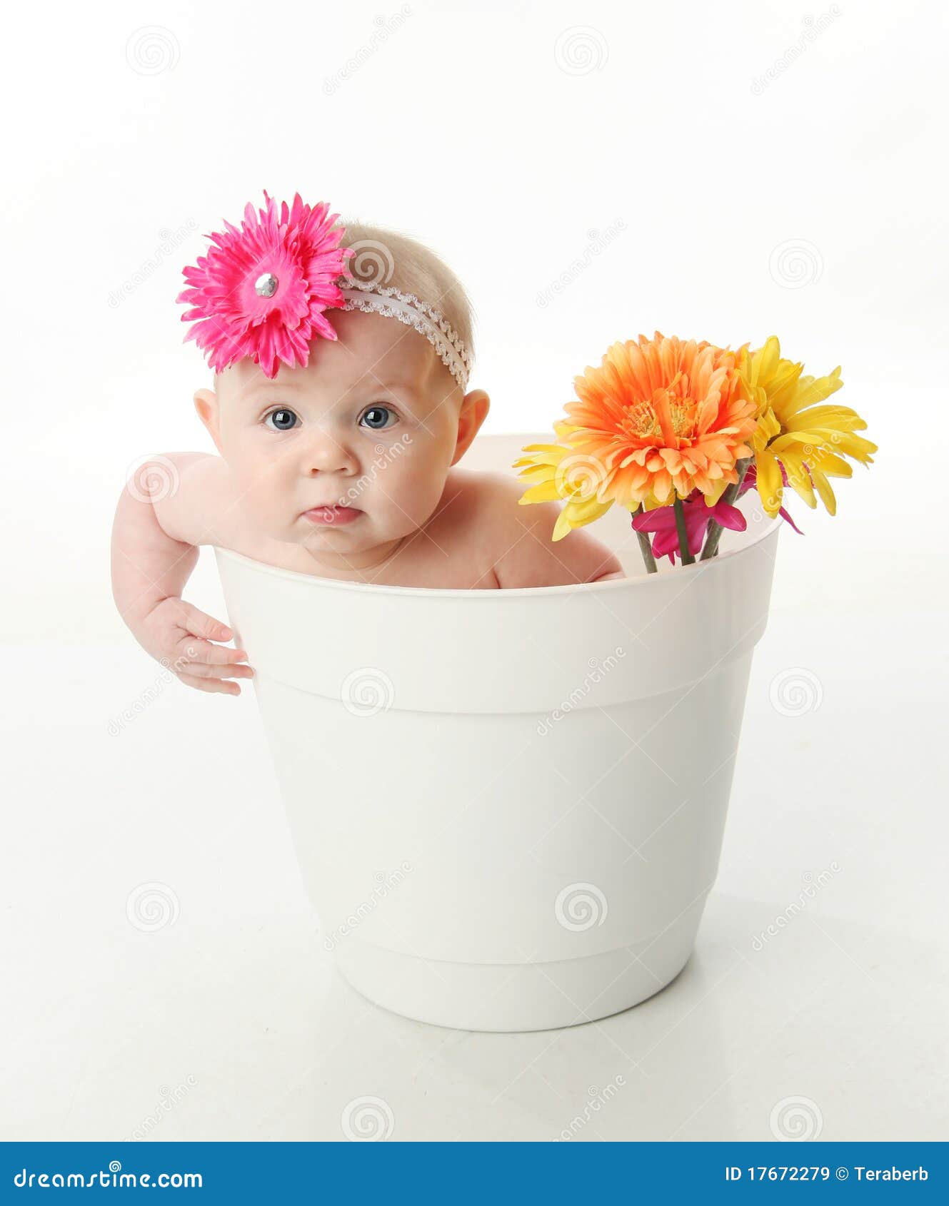 Baby girl in a flower pot stock image. Image of lips - 17672279