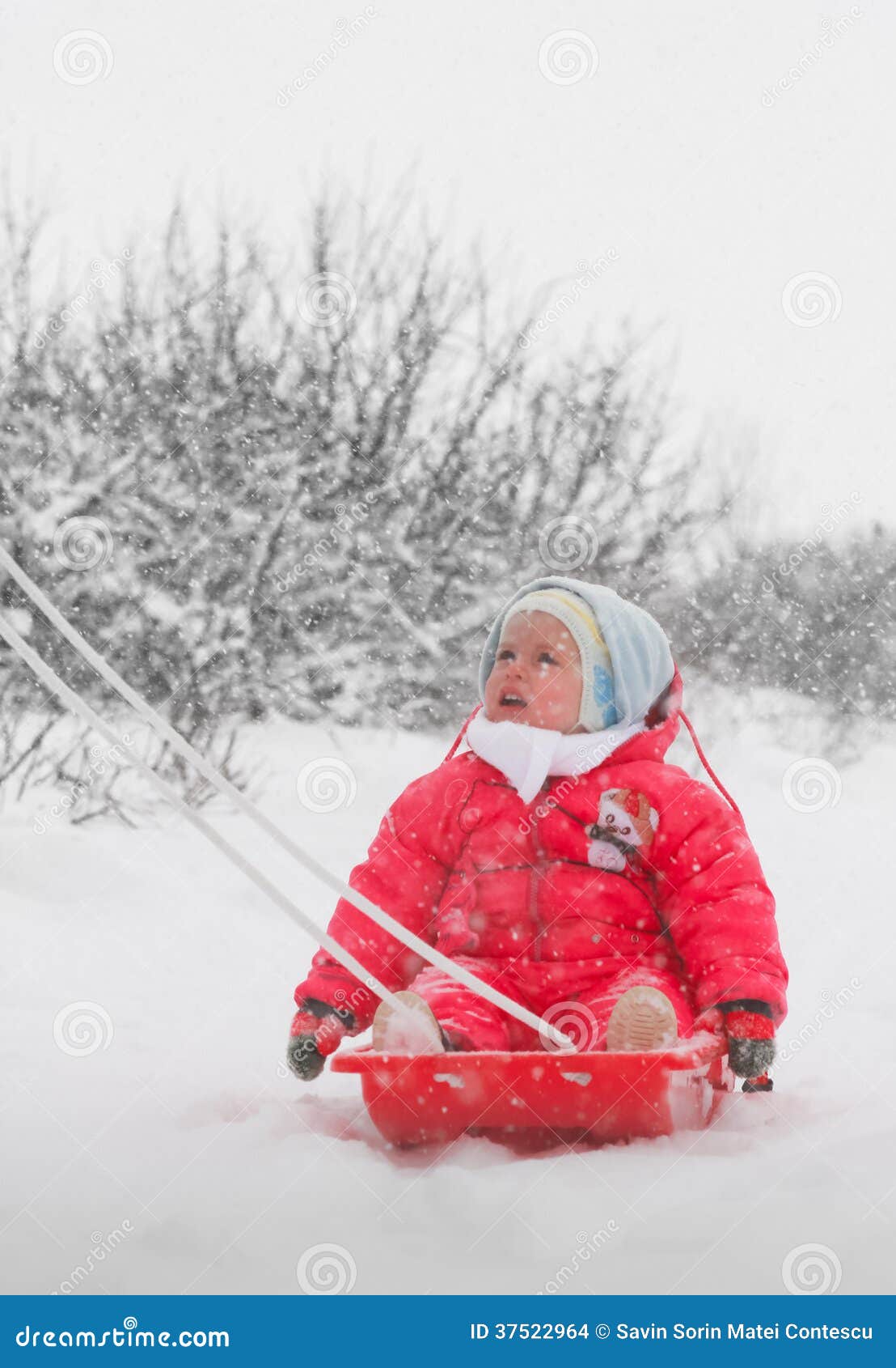 Baby girl with her sledge stock photo. Image of grow - 37522964