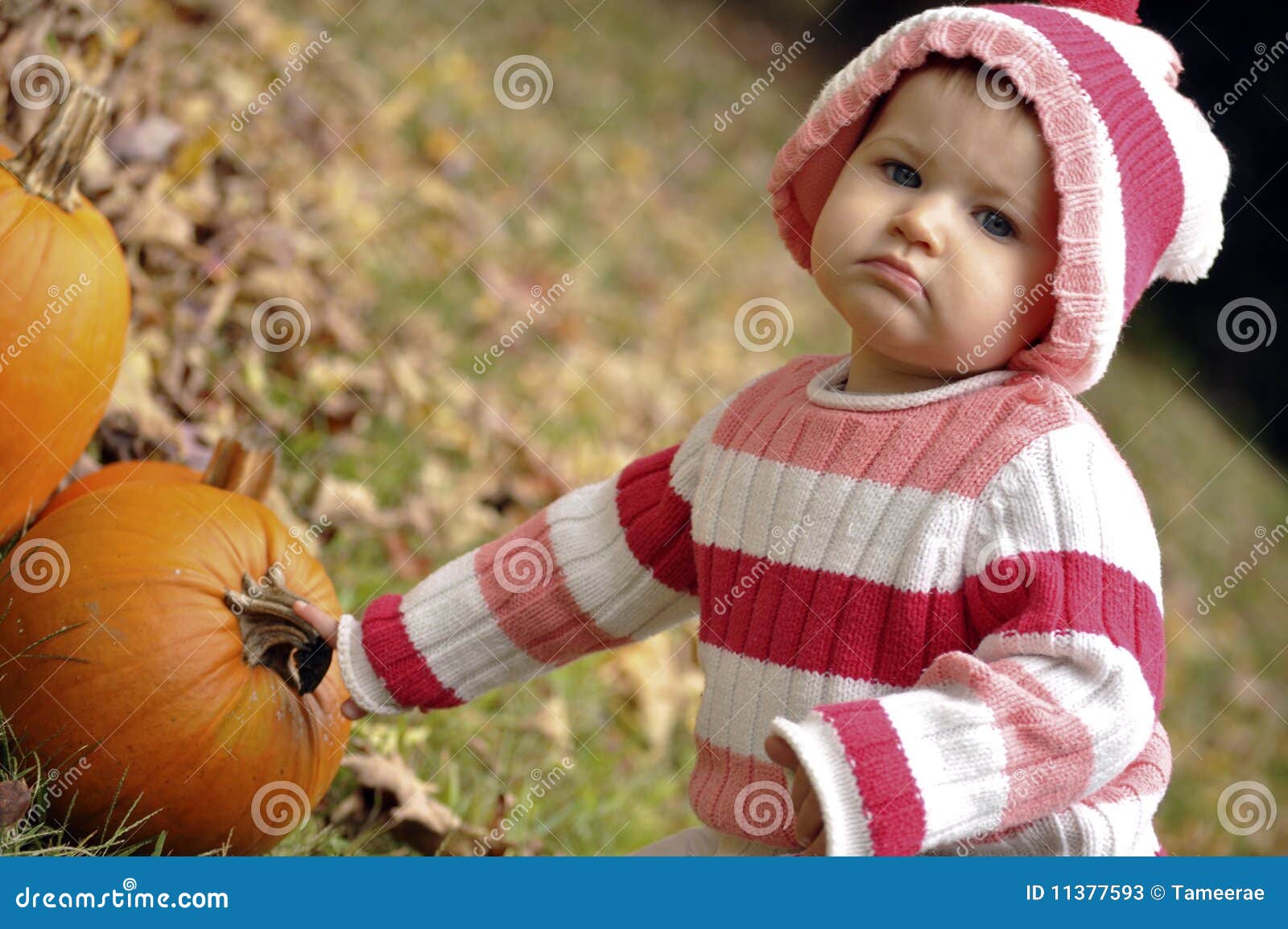 Baby girl s first Autumn stock image. Image of cute, sweater - 11377593